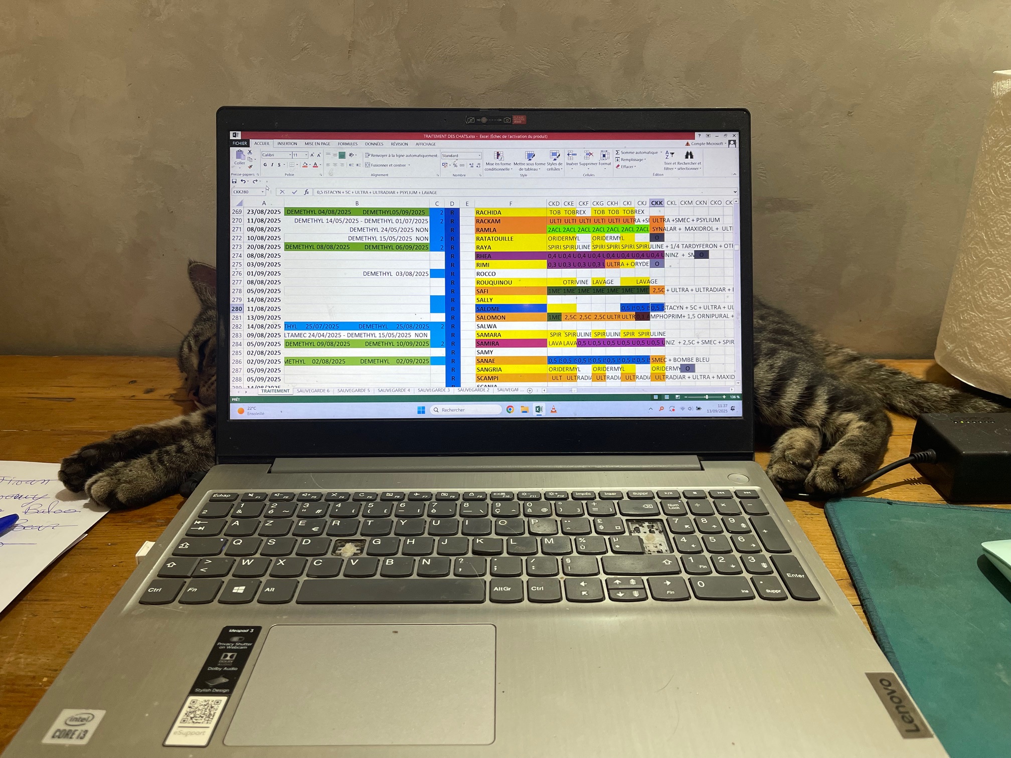 Agiz, l’assistant Excel – La kasba de Loulou